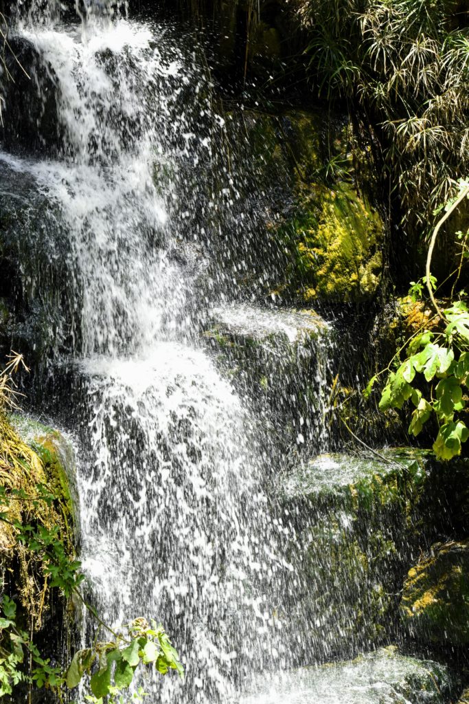 The Water of Life - Little Portion Hermitage